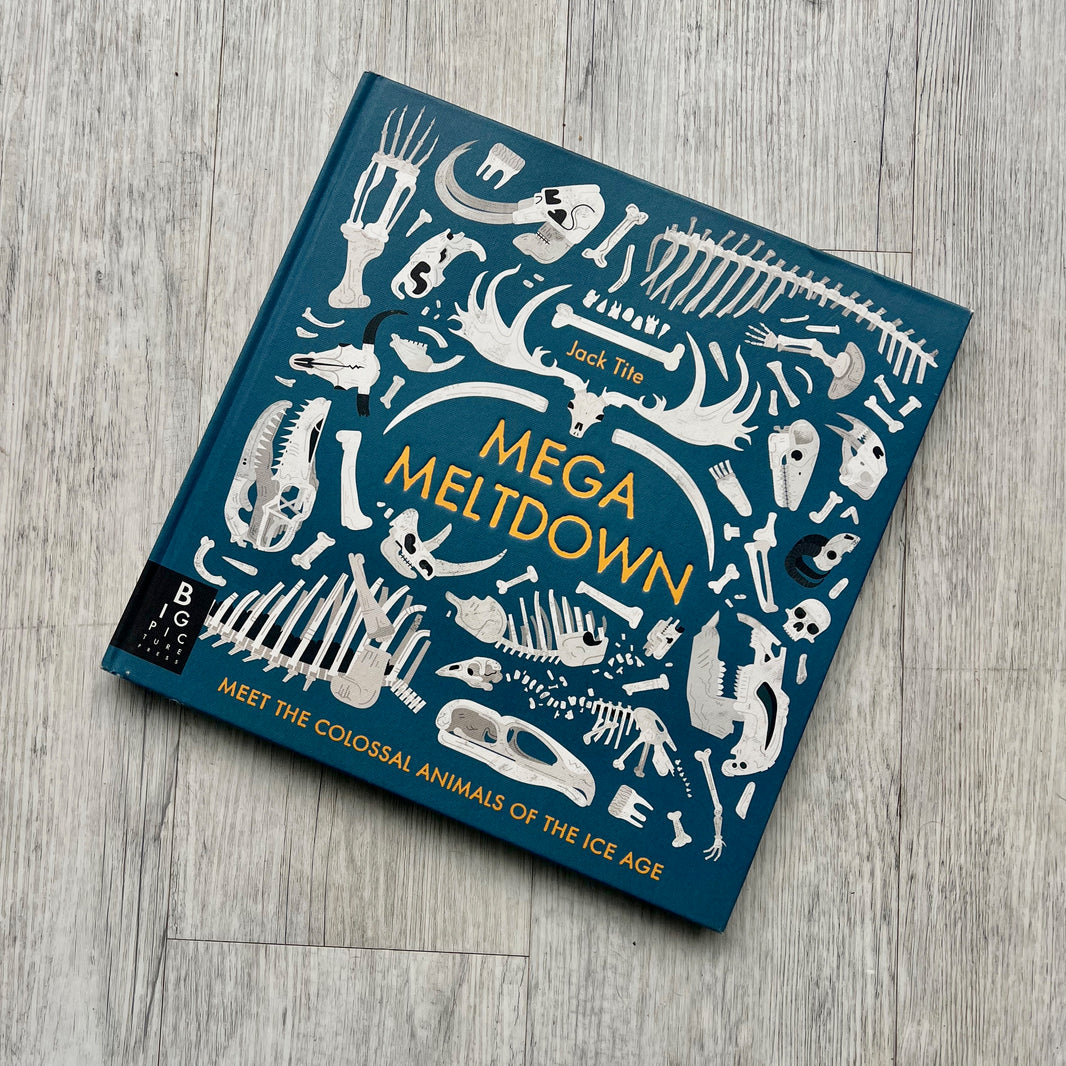 8+ Years | Books for Older & Independent Young Readers – Smallprint Online